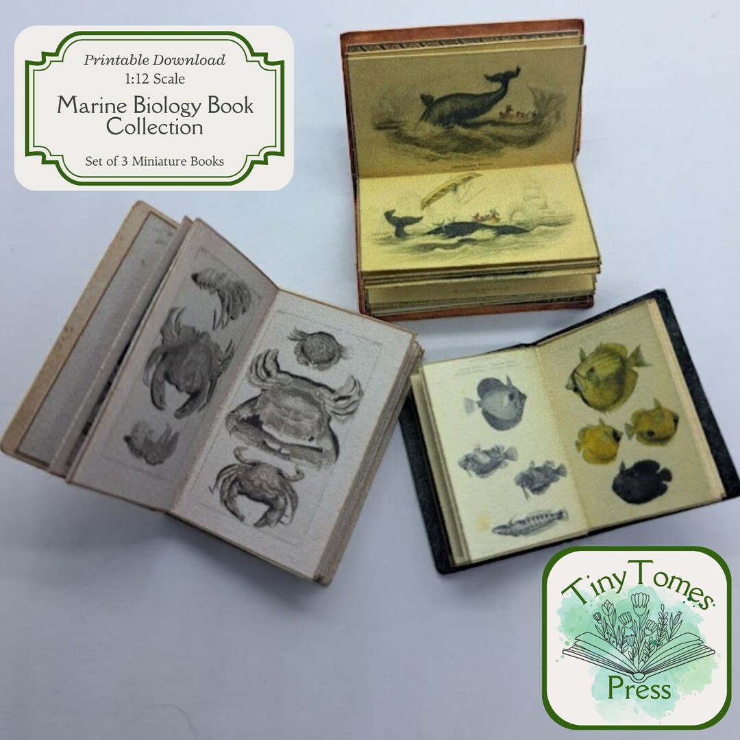 Miniature Marine Biology Book Collection - Digital Download - Set of 3 ...