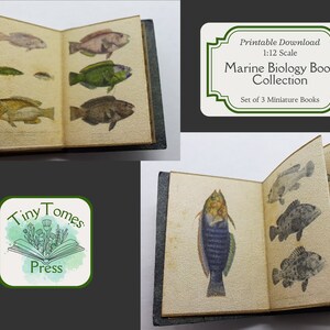 Miniature Marine Biology Book Collection - Digital Download - Set of 3 ...