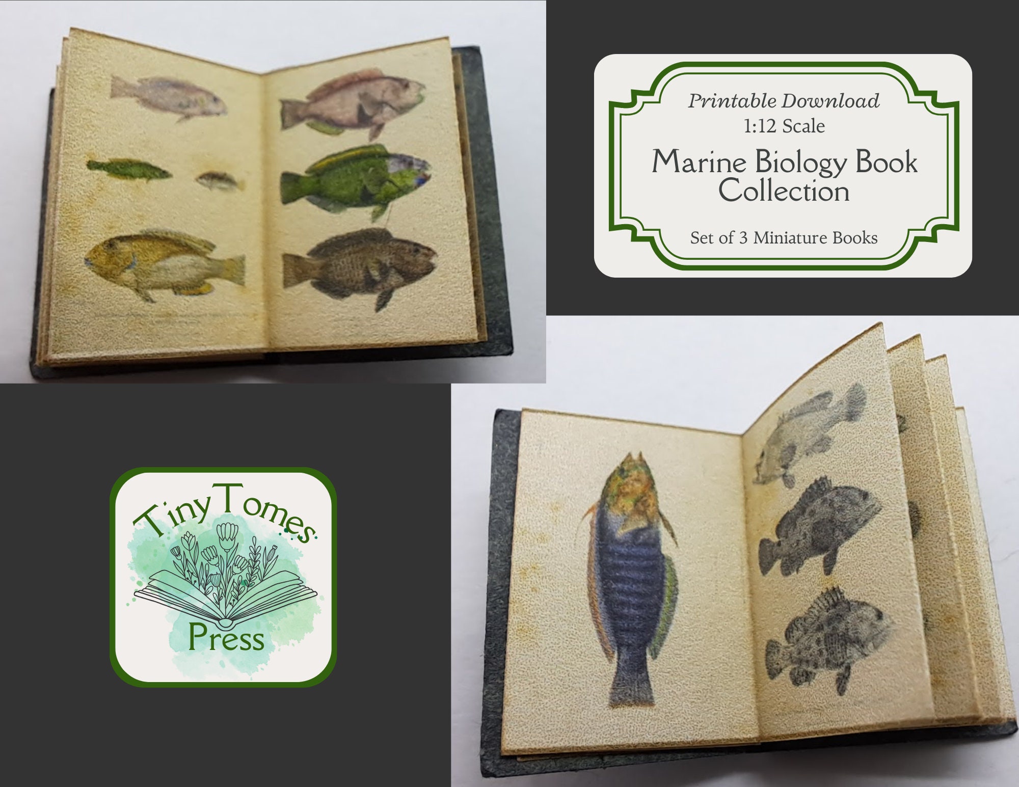 Miniature Marine Biology Book Collection Digital Download Set of 3 1:12 ...
