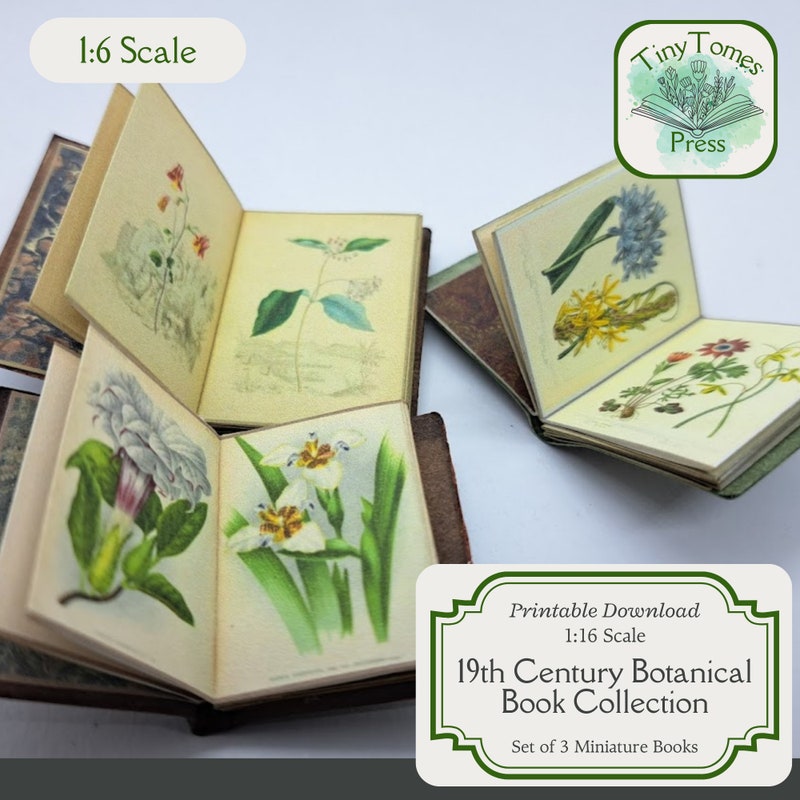 1/6 Th Scale Book - Etsy