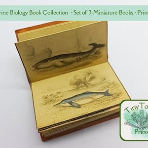 Miniature Marine Biology Book Collection - Digital Download - Set of 3 ...