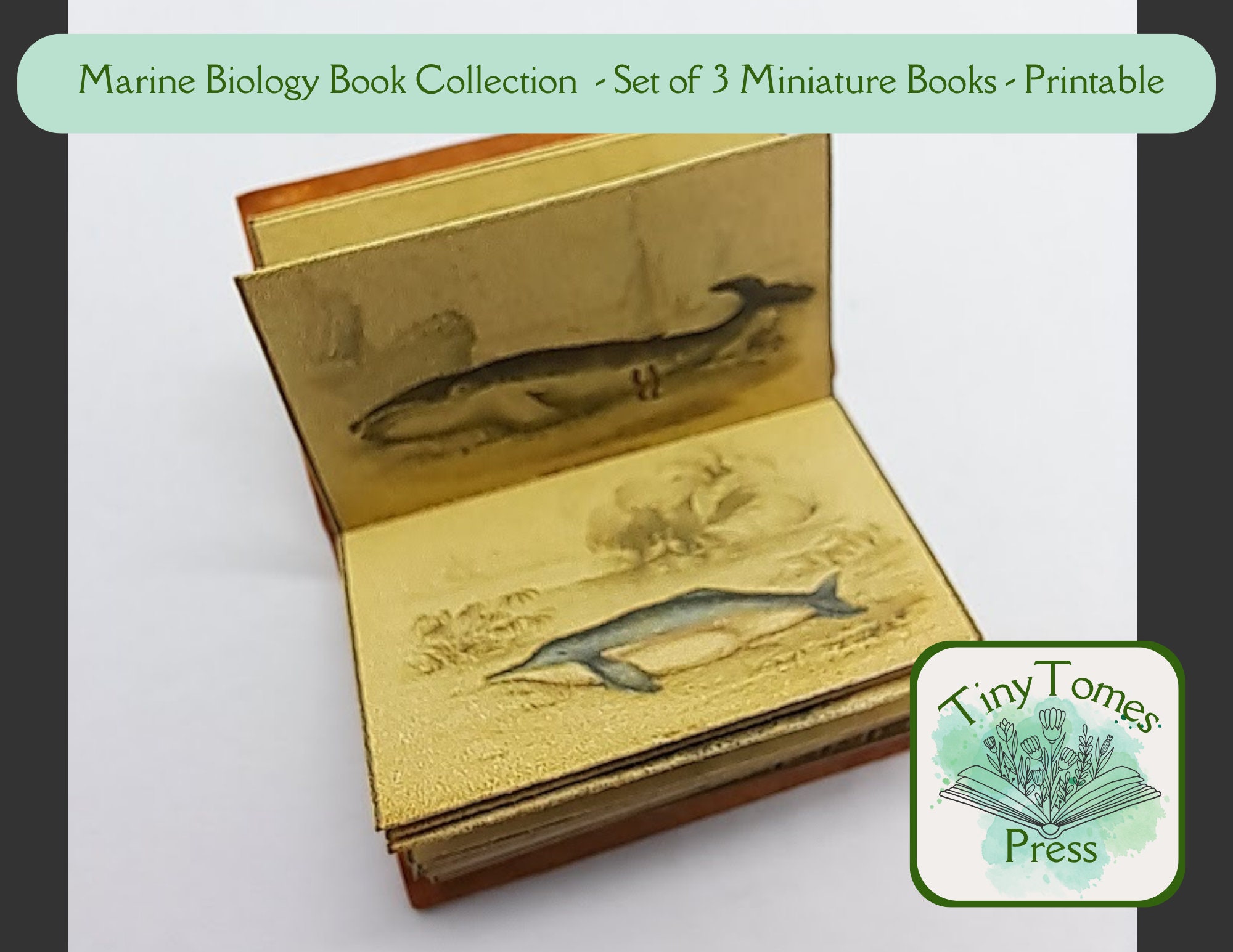 Miniature Marine Biology Book Collection Digital Download Set of 3 1:12 ...