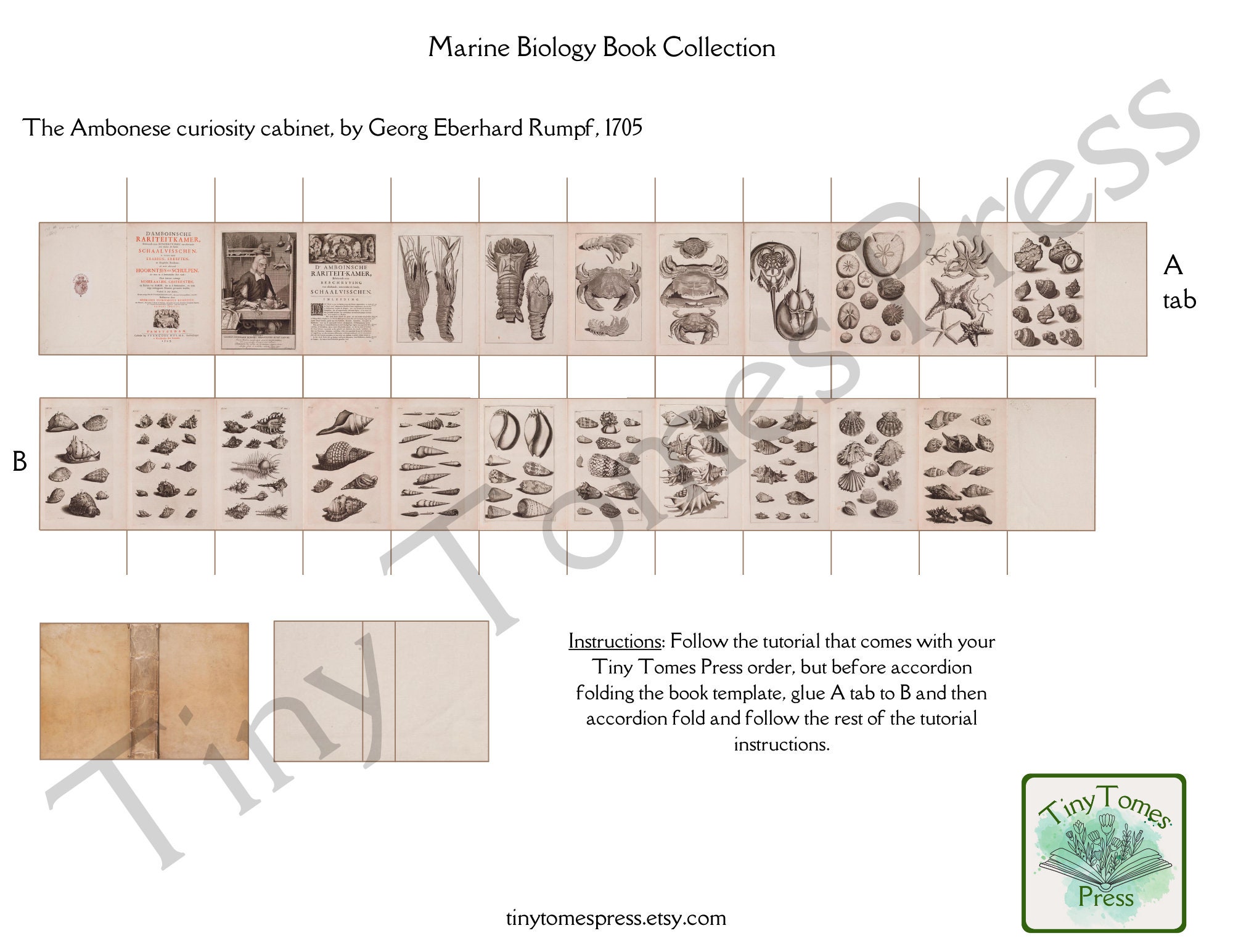 Miniature Marine Biology Book Collection Digital Download Set of 3 1:12 ...