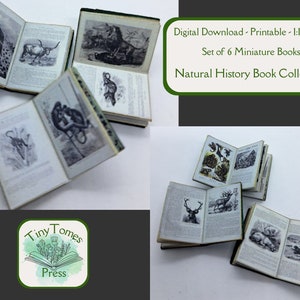 Miniature Natural History Book Collection - Digital Download - Set of 6 ...
