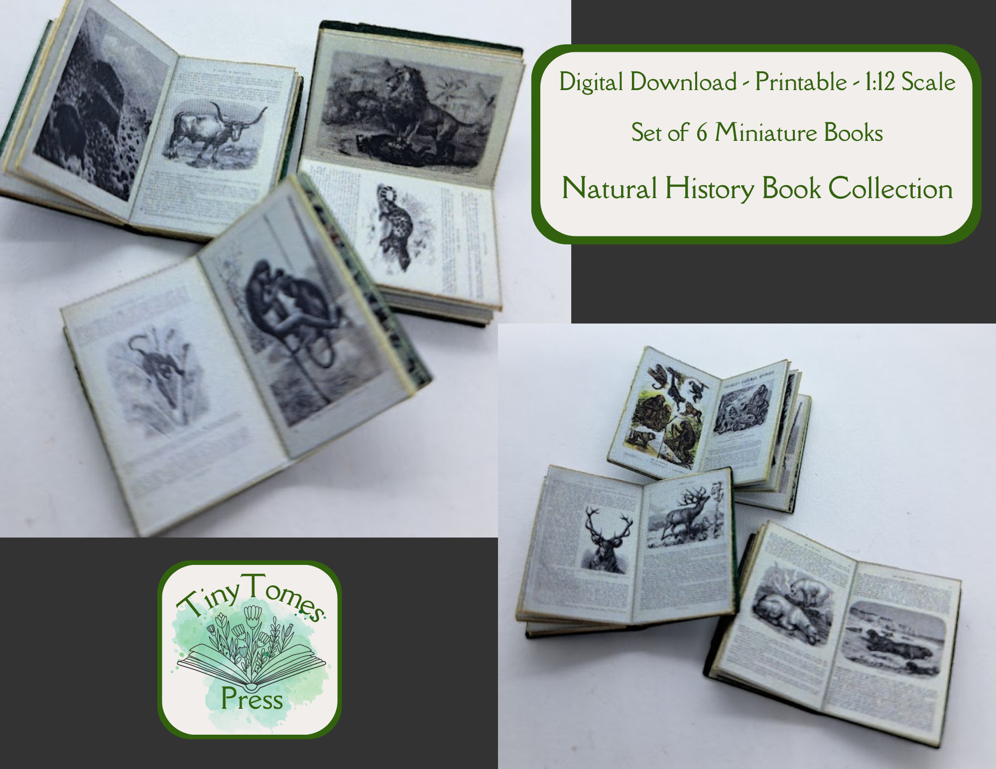 Miniature Natural History Book Collection - Digital Download - Set of 6 ...