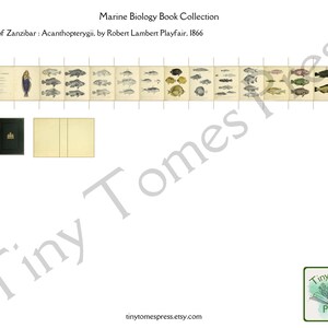 Miniature Marine Biology Book Collection - Digital Download - Set of 3 ...