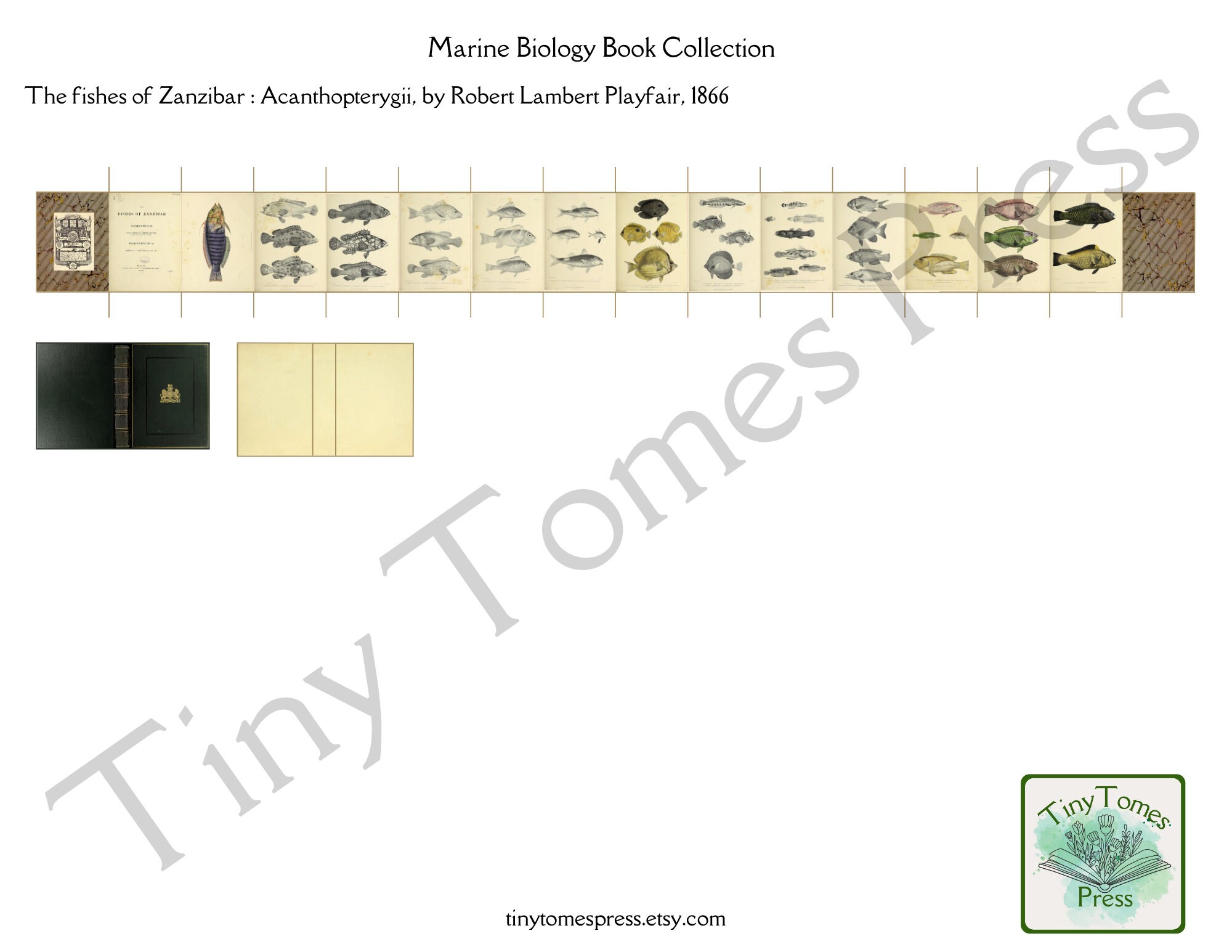 Miniature Marine Biology Book Collection Digital Download Set of 3 1:12 ...