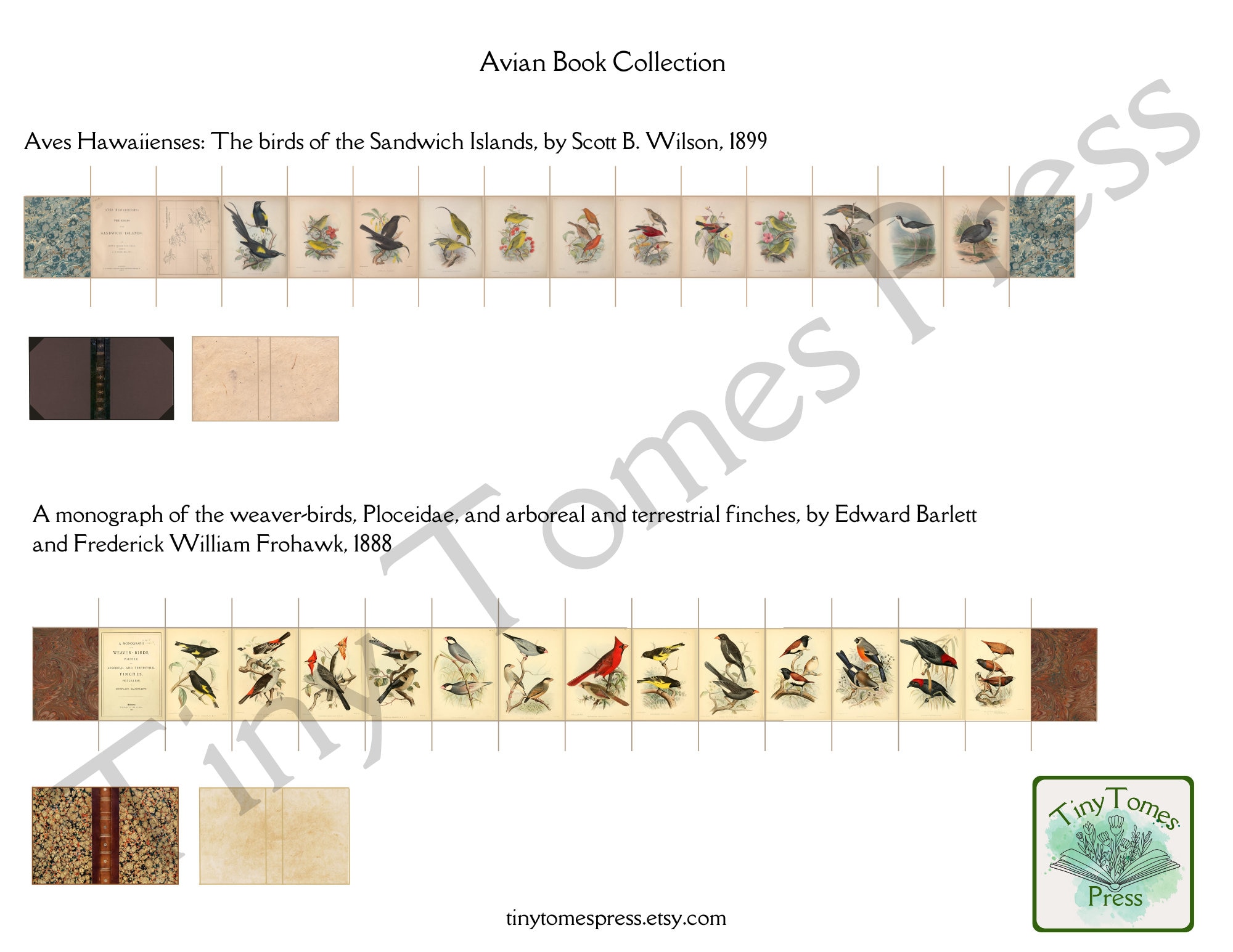 Miniature Avian Book Collection - Digital Download - Set of 2 - 1:12 ...
