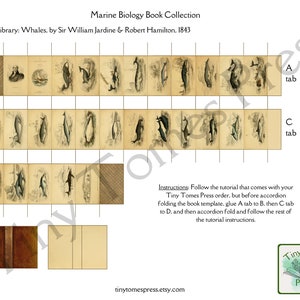 Miniature Marine Biology Book Collection - Digital Download - Set of 3 ...