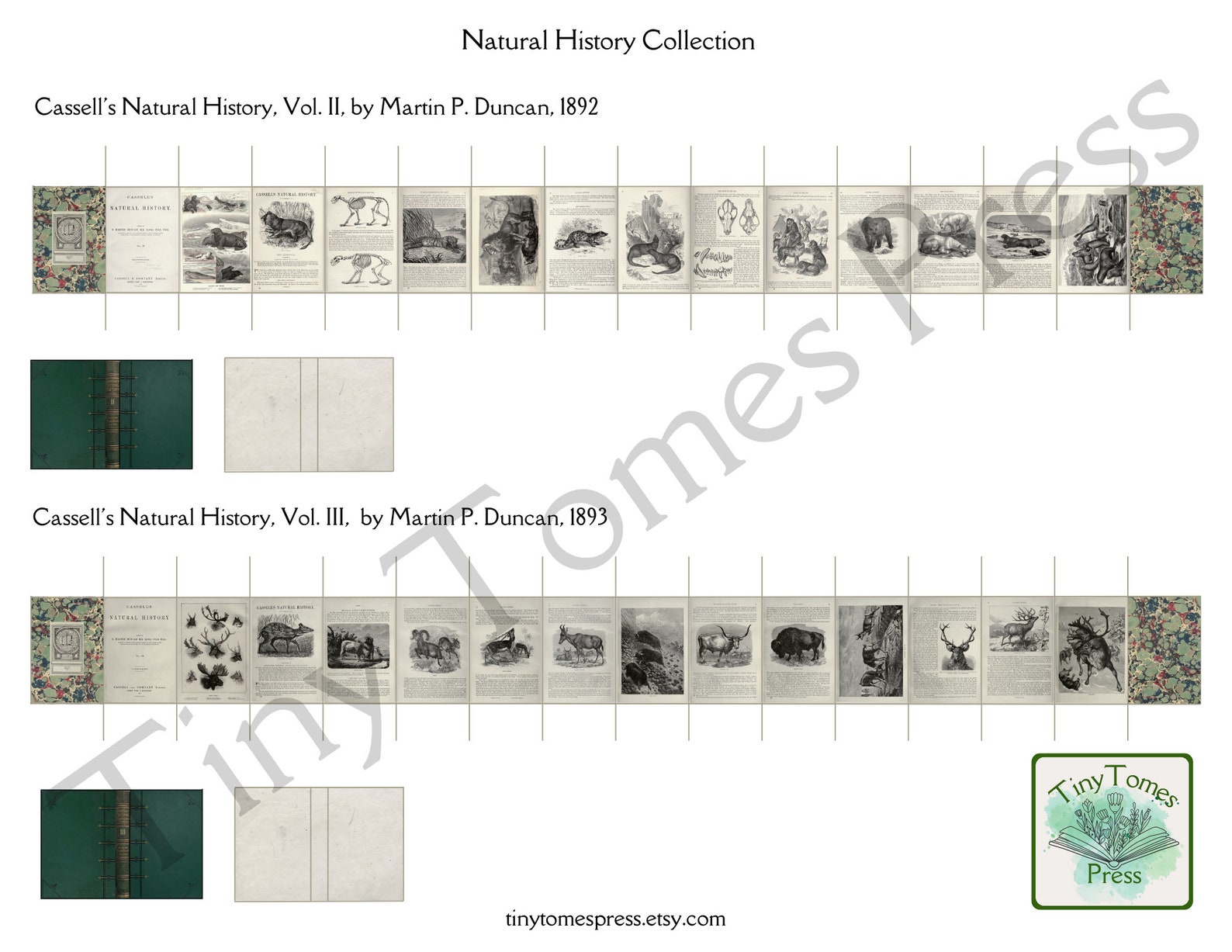 Miniature Natural History Book Collection Digital Download - Etsy