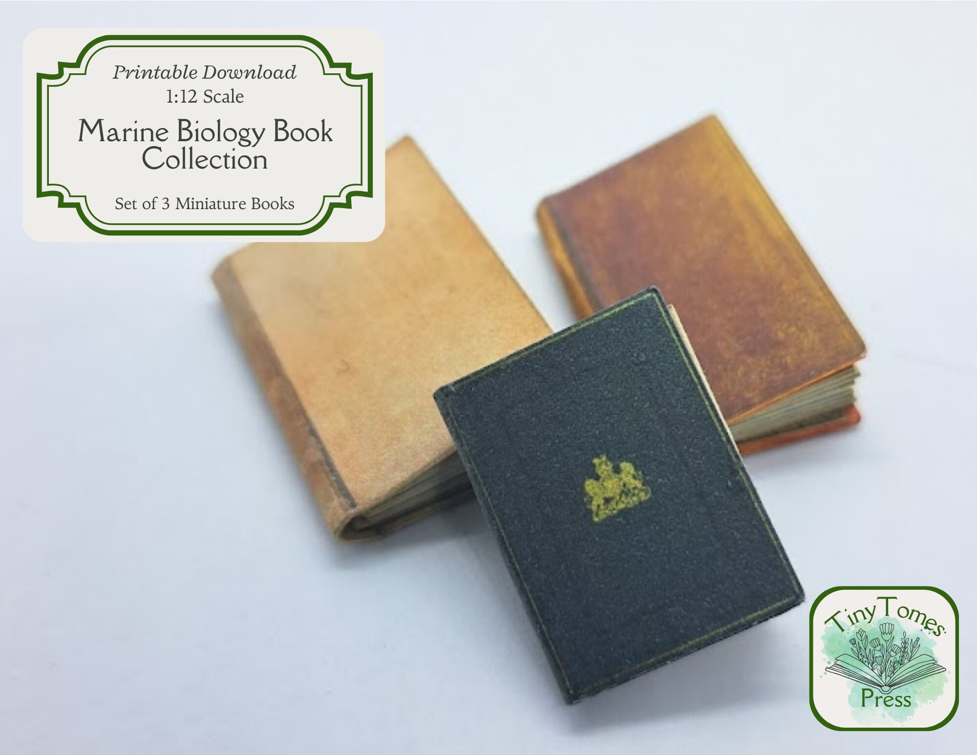 Miniature Marine Biology Book Collection Digital Download Set of 3 1:12 ...