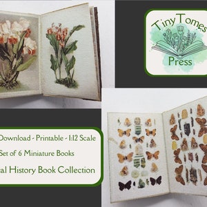 Miniature Natural History Book Collection - Digital Download - Set of 6 ...
