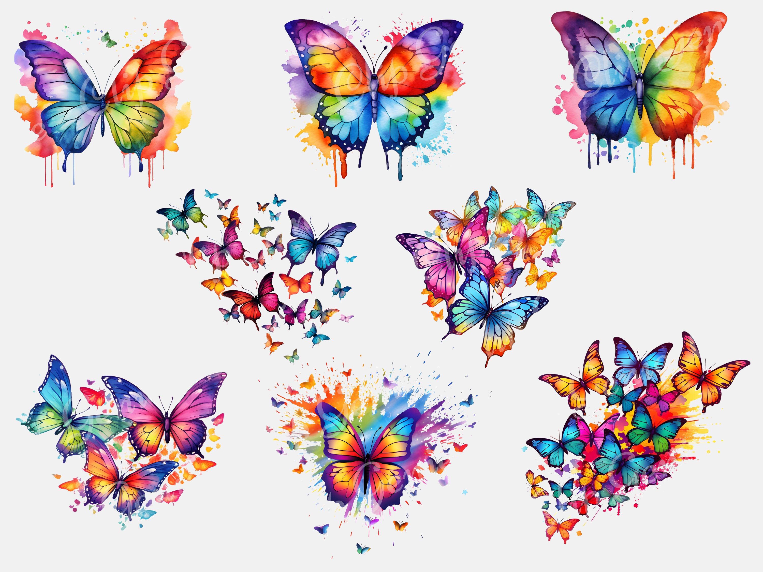 Watercolor Rainbow Butterfly Clipart, Colorful PNG (digital Download ...