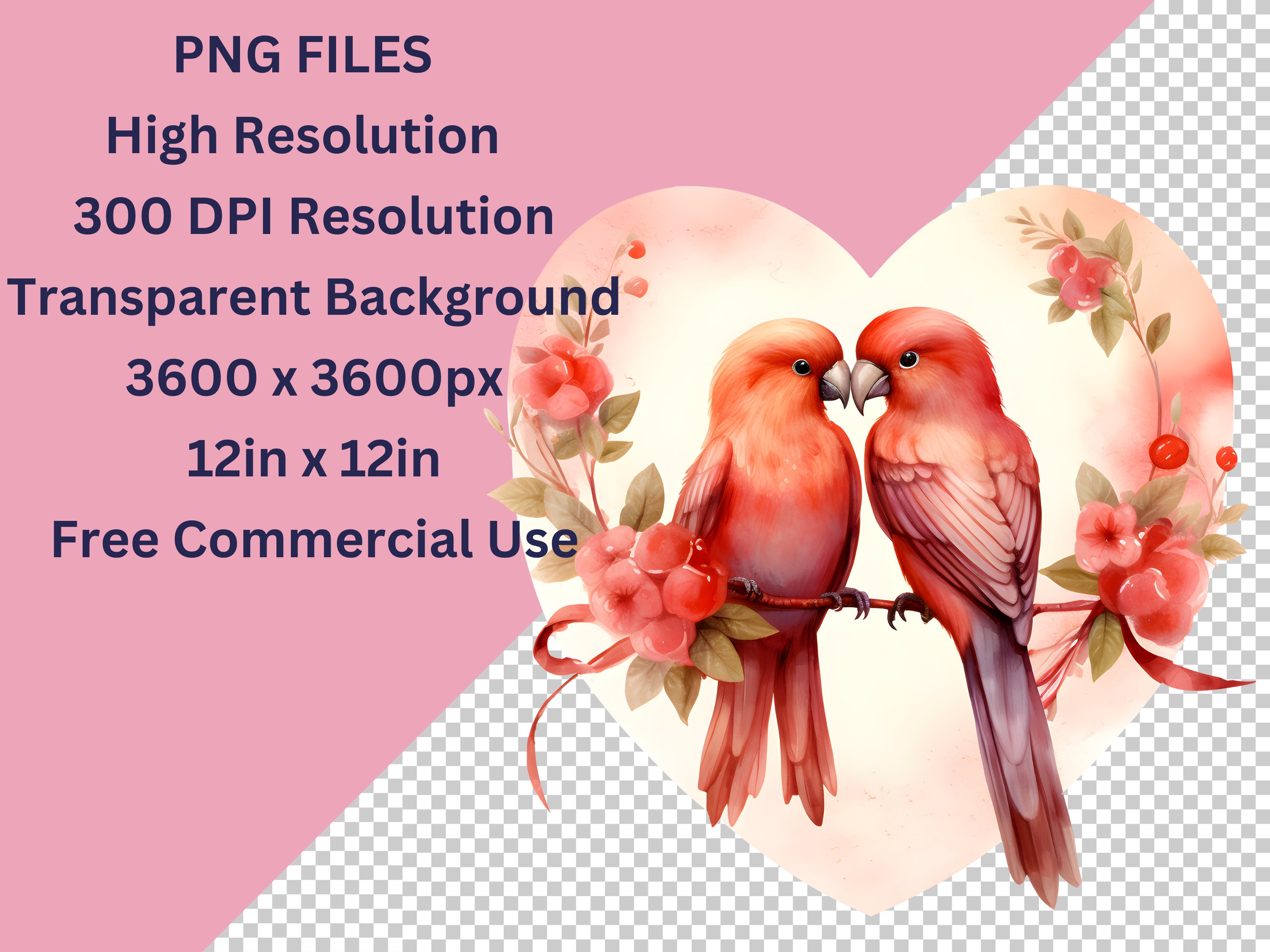 Valentines Love Bird Clipart Love Birds PNG Valentines - Etsy