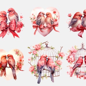 Valentines Love Bird Clipart, Love Birds PNG, Valentines Sublimation ...