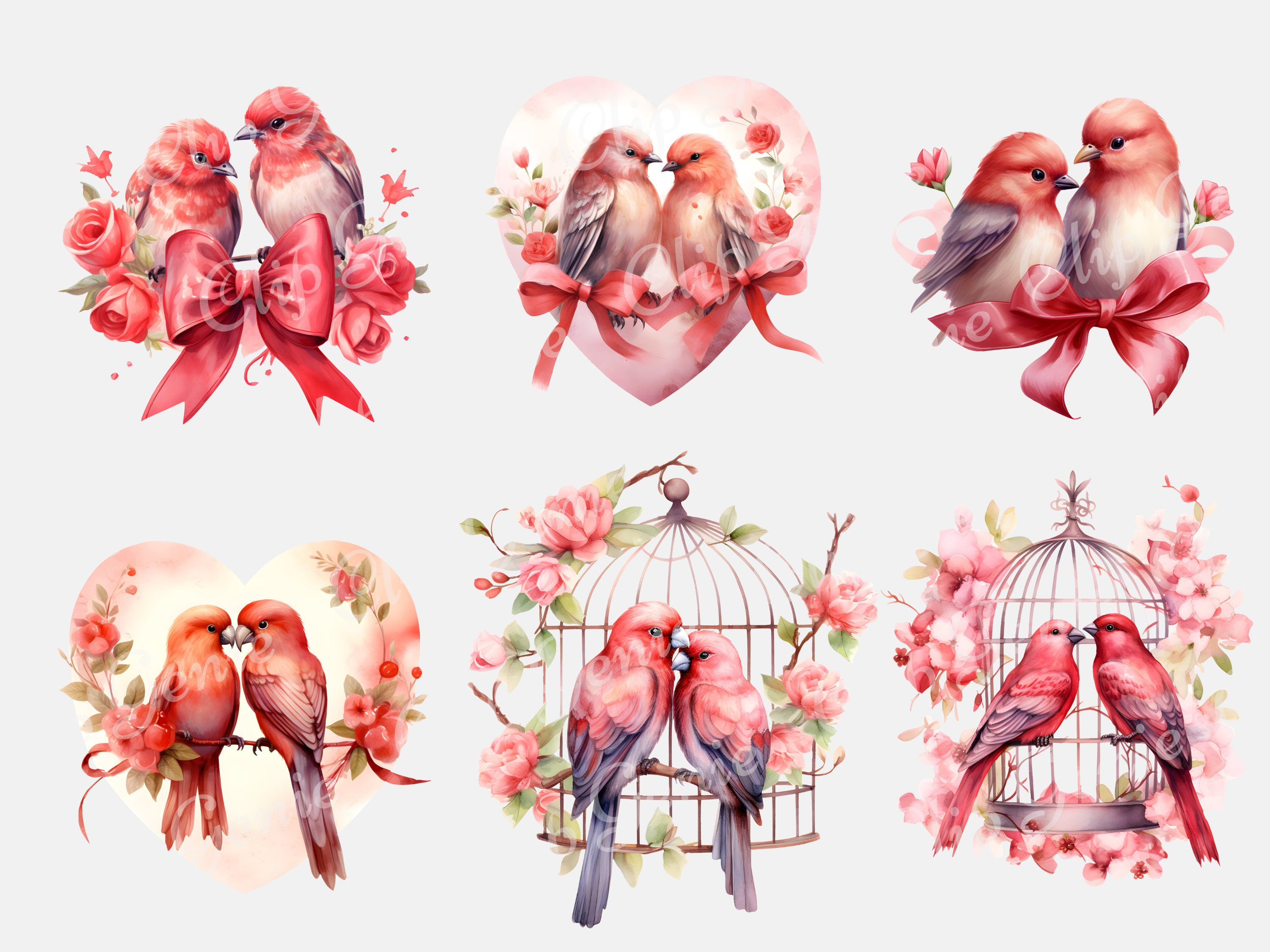 Valentines Love Bird Clipart Love Birds PNG Valentines - Etsy