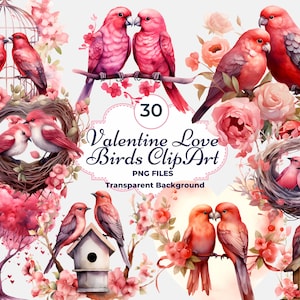 Valentines Love Bird Clipart, Love Birds PNG, Valentines Sublimation ...