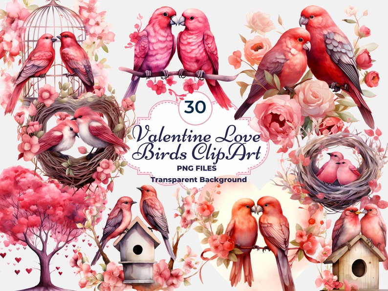 Valentines Love Bird Clipart Love Birds PNG Valentines - Etsy
