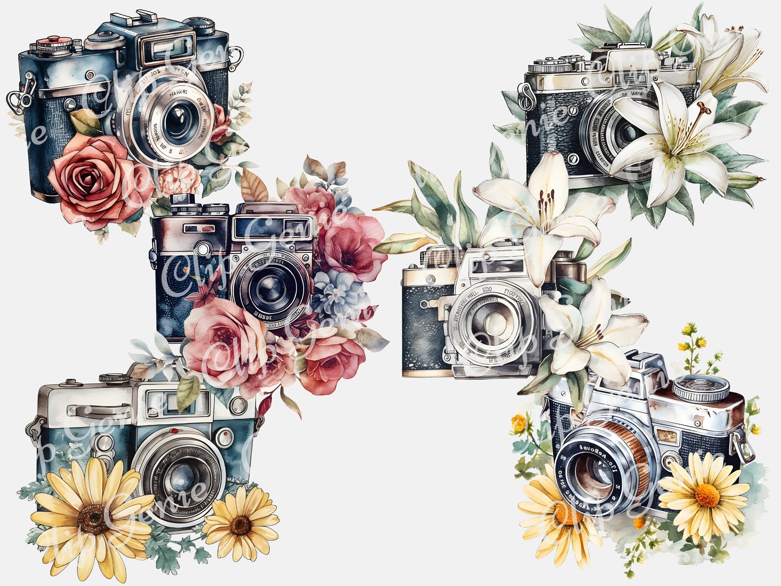Watercolor Floral Cameras Clipart, Floral Vintage Cameras Clipart ...