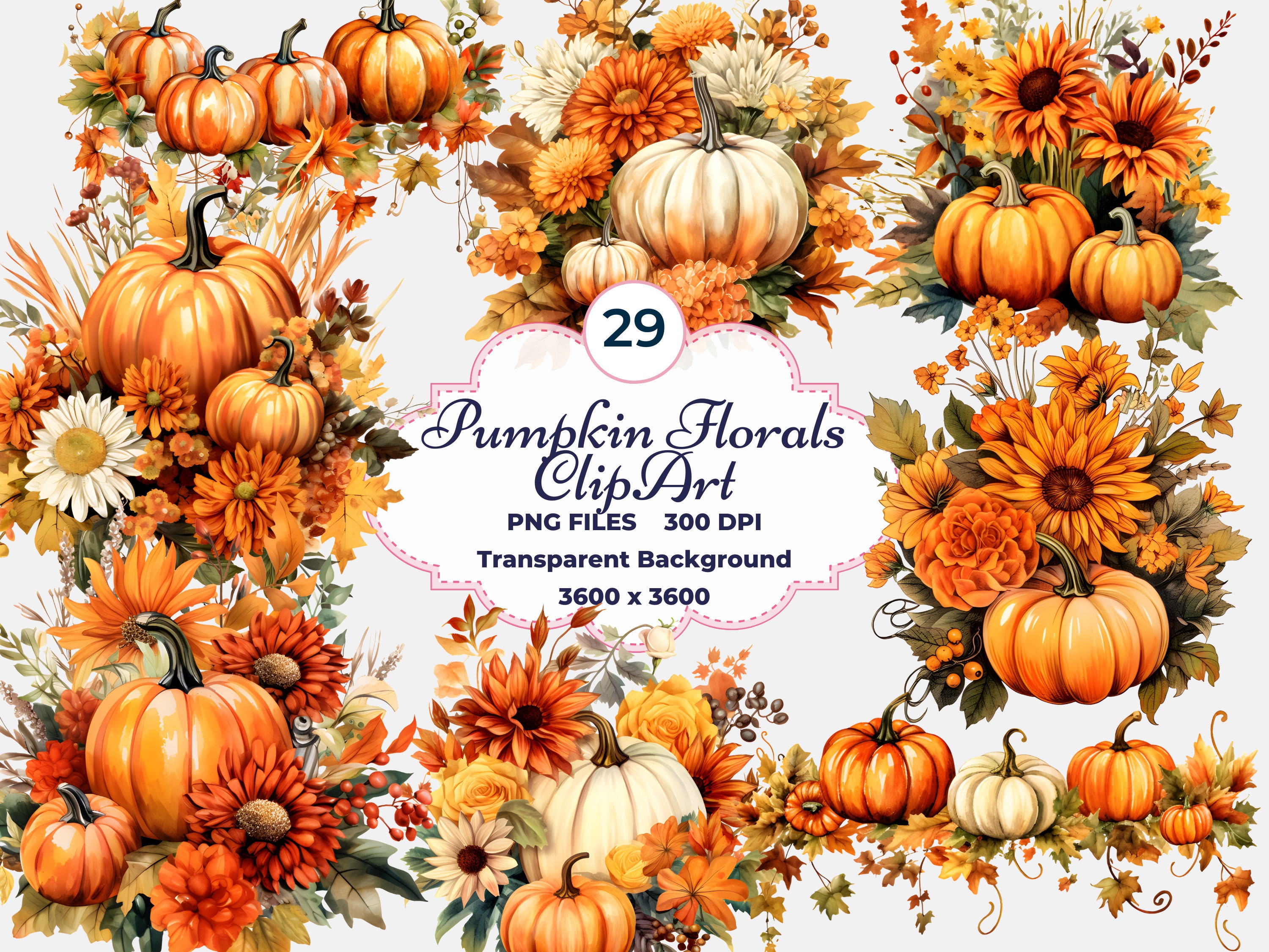 Pumpkin Florals Clipart Fall Floral Pumpkins PNG Autumn - Etsy