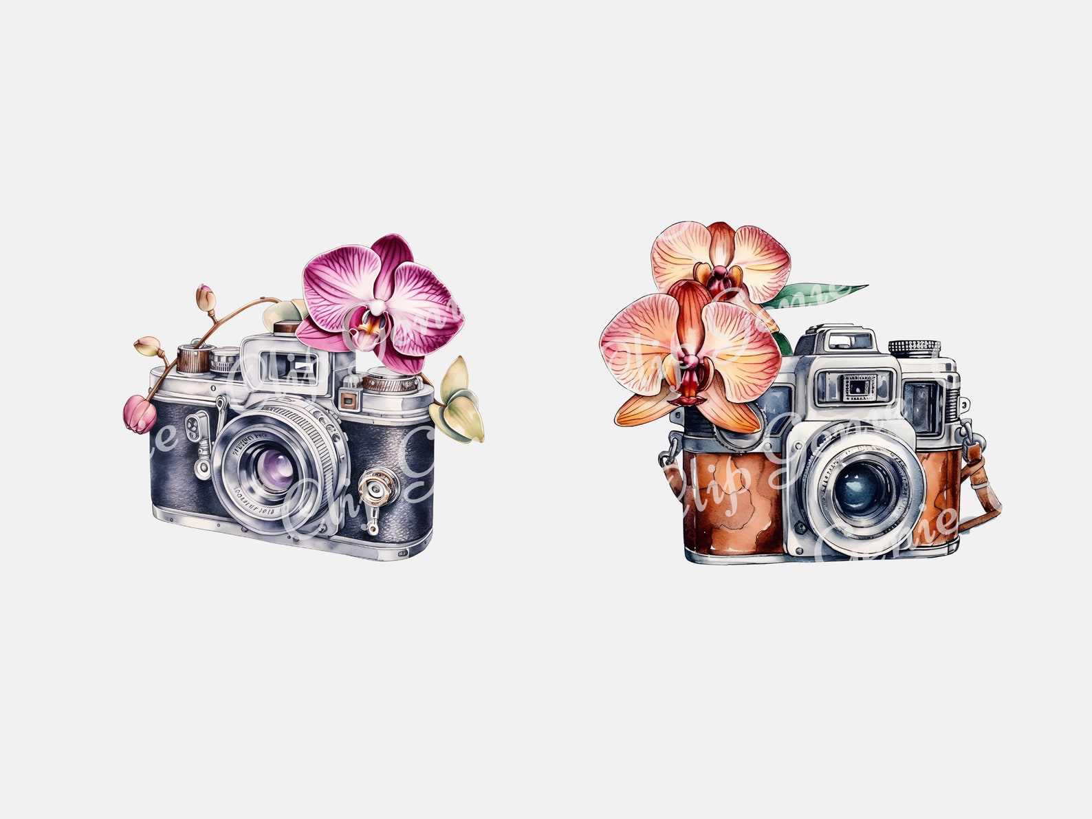Watercolor Floral Cameras Clipart, Floral Vintage Cameras Clipart ...