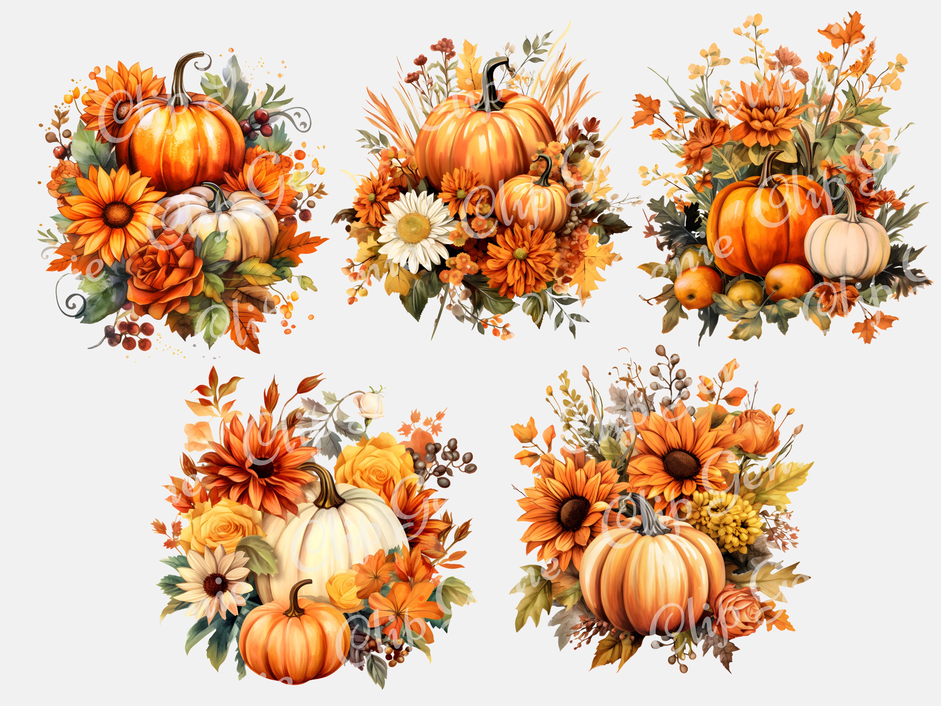 Pumpkin Florals Clipart Fall Floral Pumpkins PNG Autumn - Etsy