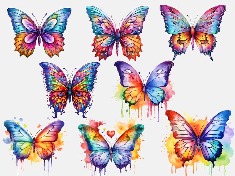 Watercolor Rainbow Butterfly Clipart Colorful Butterfly PNG - Etsy