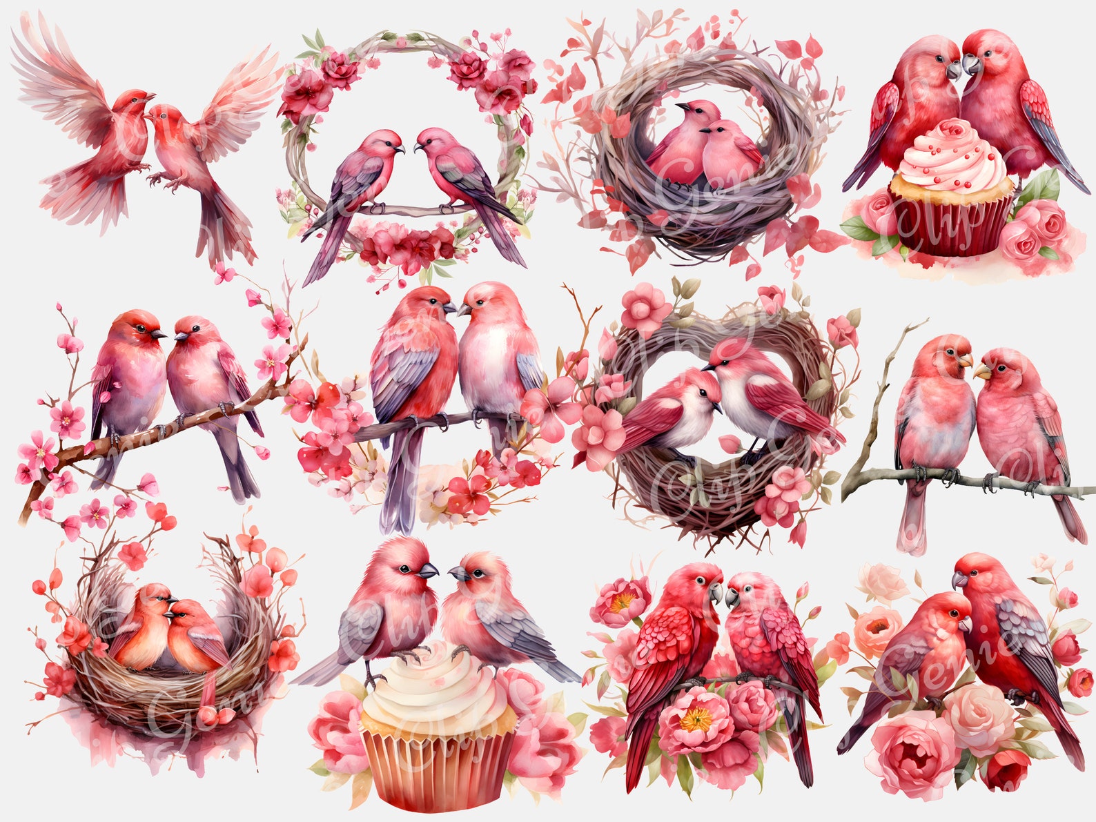 Valentines Love Bird Clipart Love Birds PNG Valentines - Etsy