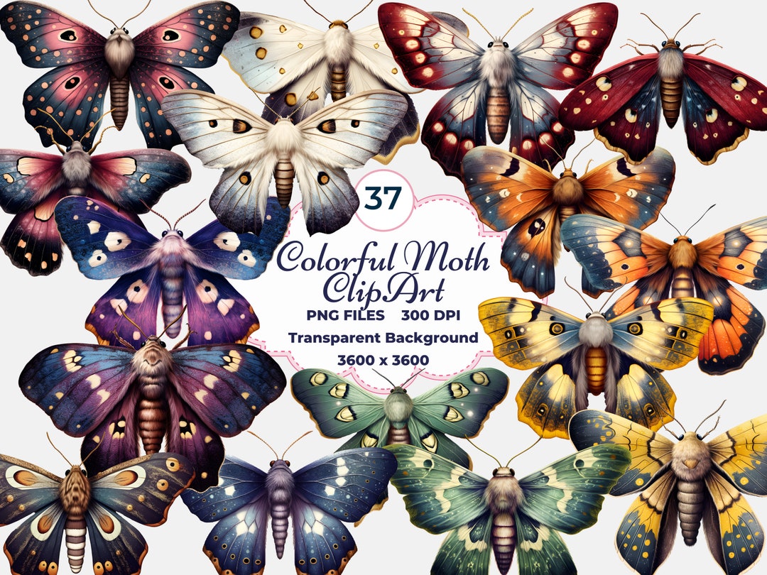 Colorful Moth Clipart, Magical Moth PNG, Purple Moth, Pink Moth, Blue ...