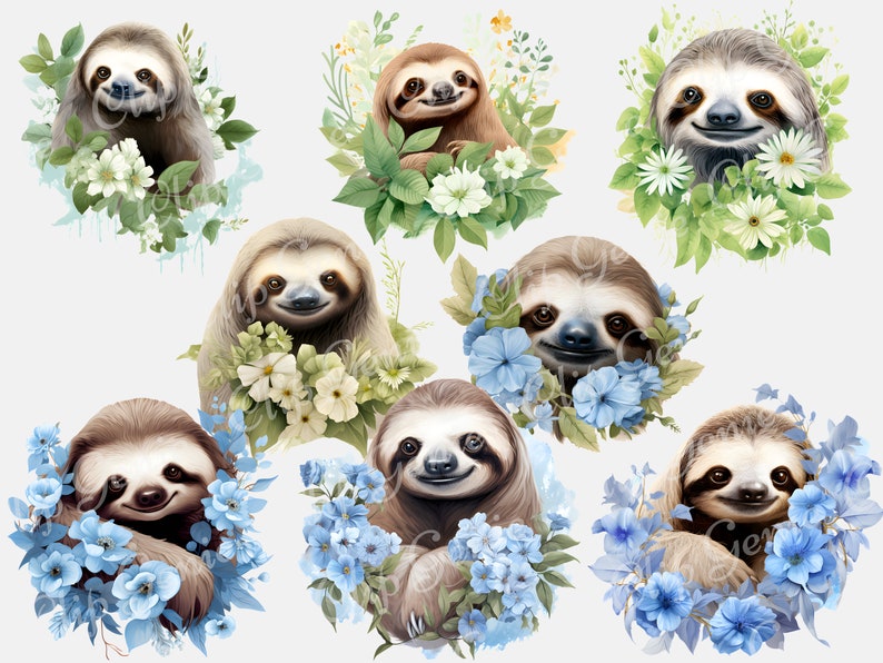 Floral Sloth Clipart, Flower Sloth PNG, Sublimation - Etsy