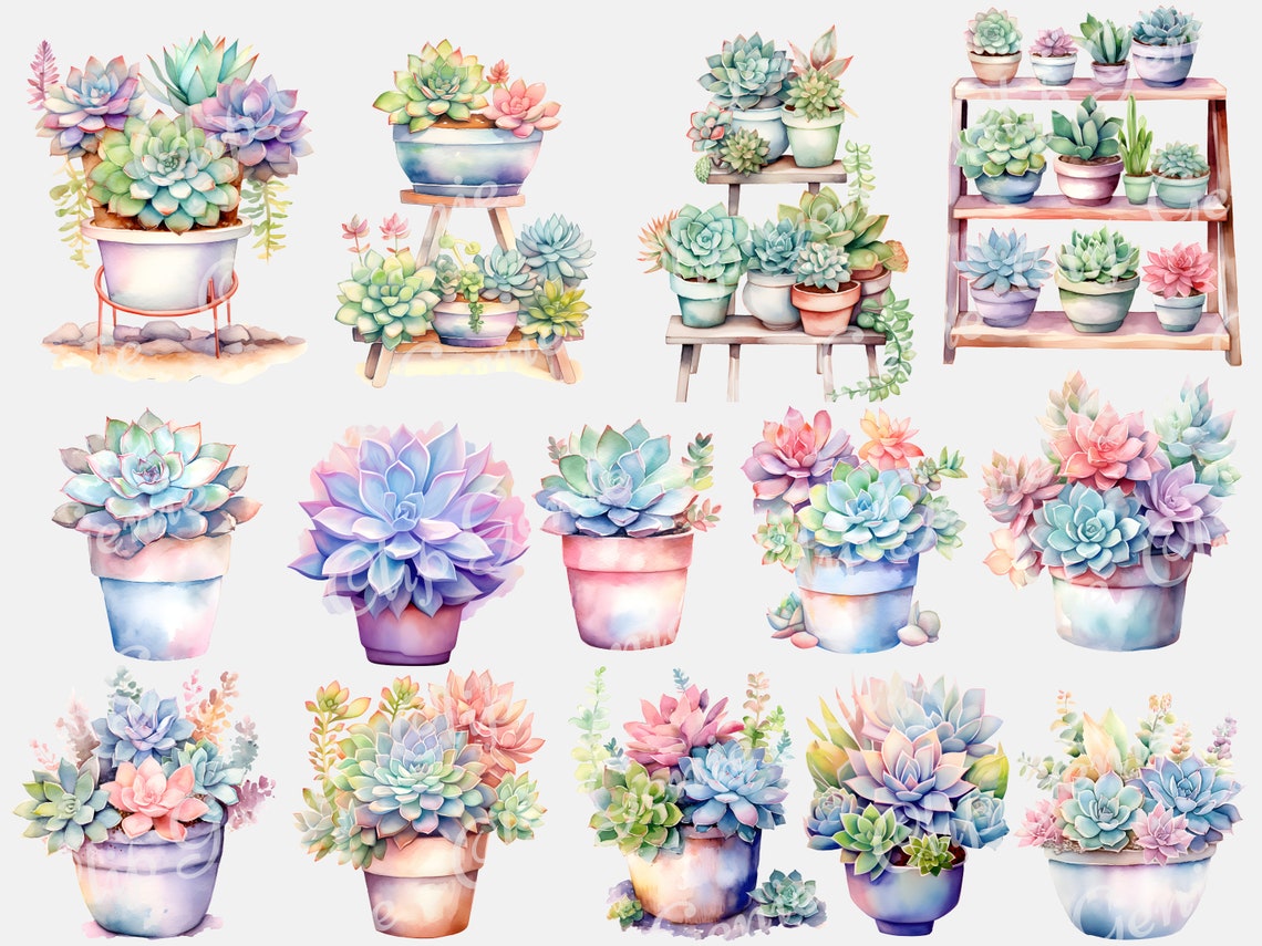 Watercolor Succulent Clipart, 50 PNG Files, Pastel Plants (digital ...