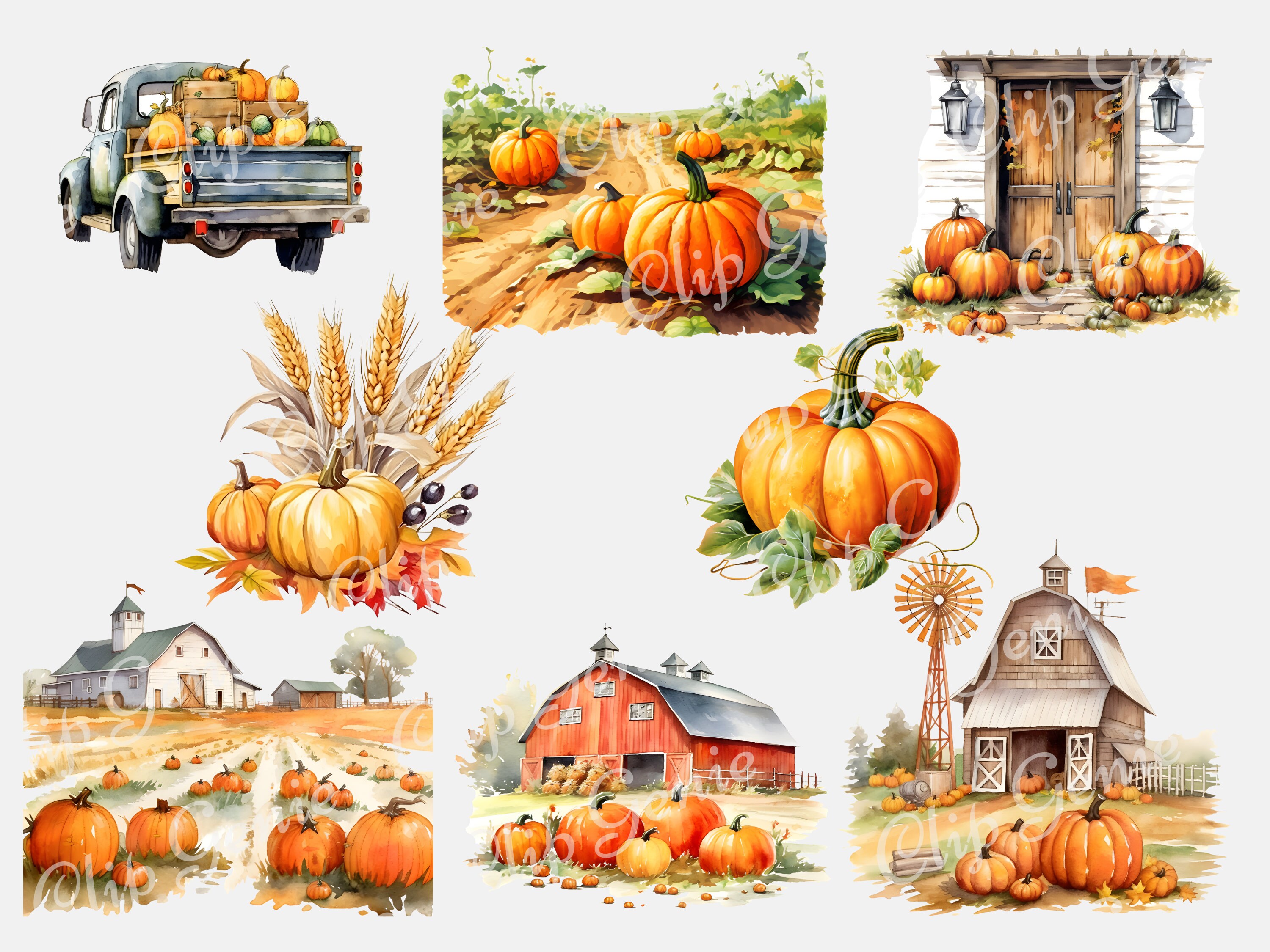 Watercolor Pumpkin Farm Clipart, Fall Harvest PNG (digital Download) - Etsy