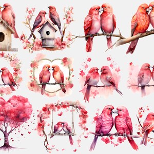 Valentines Love Bird Clipart, Love Birds PNG, Valentines Sublimation ...