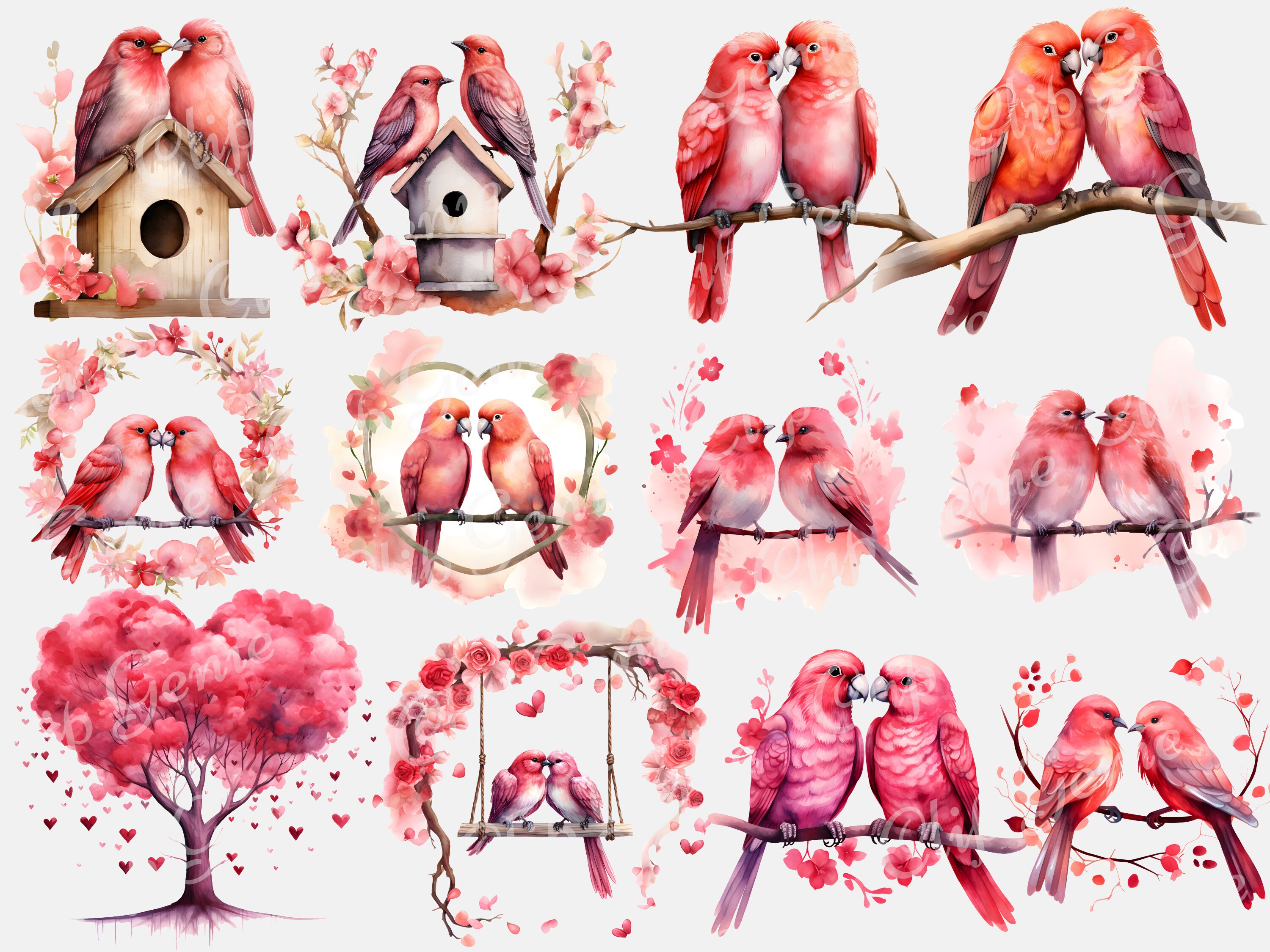 Valentines Love Bird Clipart Love Birds PNG Valentines - Etsy