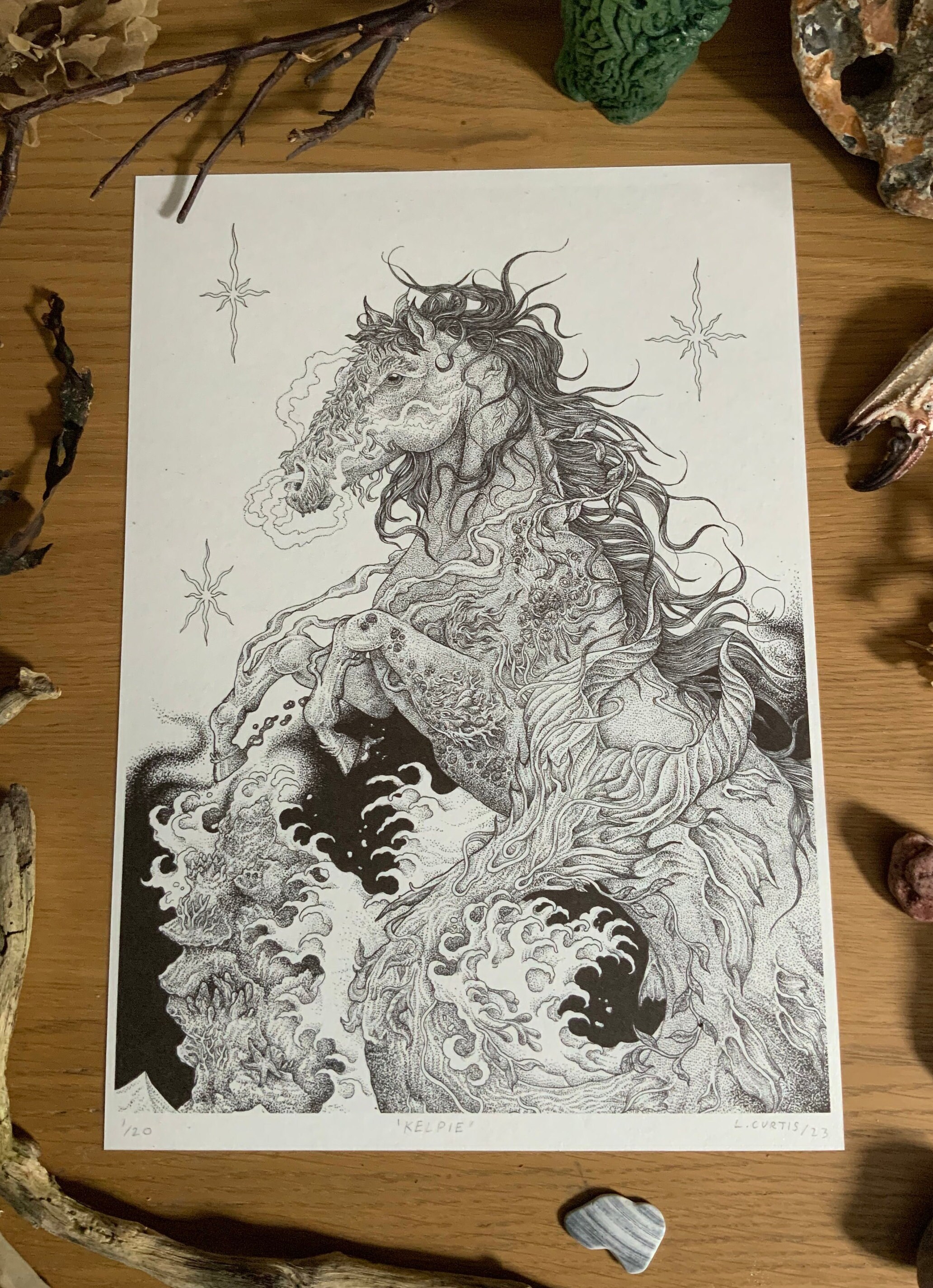 Kelpie: A4 Printed Illustration. Folklore Gothic Black and - Etsy