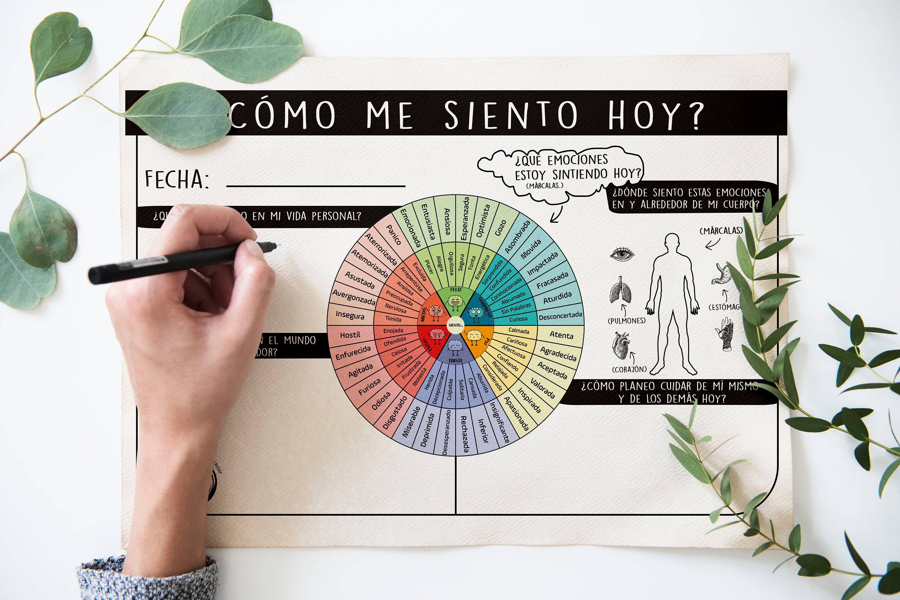 Hoja De Trabajo Digital Para Revisión De Emociones / Rueda De Sentimientos De Terapia Dialéctico ...