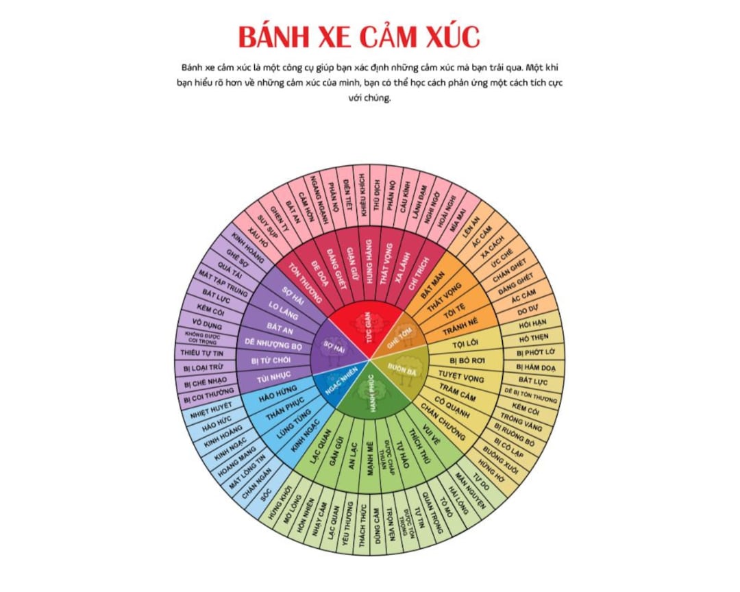 Vietnamese Emotions and Feelings Wheel Poster, Cải Thiện Trí Tuệ Cảm ...