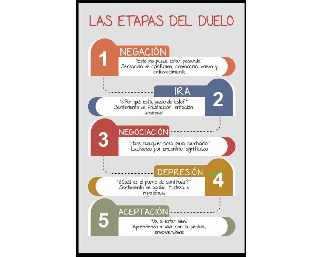 Póster Educativo En Español Sobre Las Fases Etapas Del Duelo Ideal Para ...