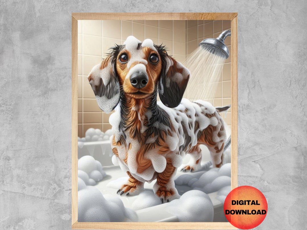 DACHSHUND Funny Bathroom Wall Art, Doxie Shower Printable, Wiener Dog ...