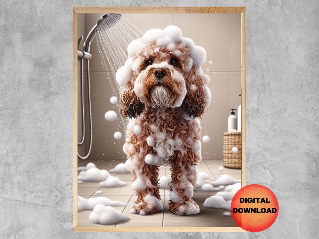 Cavapoo Bathroom Wall Art, Funny Cavapoo Taking A Shower Poster ...