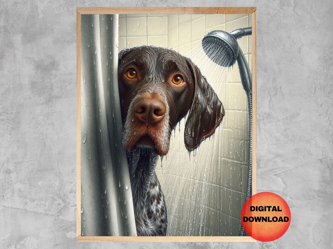 Funny GSP Taking Shower Print, German Shorthaired Pointer Bathroom Wall ...