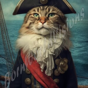 Pirate Cats DIY Poster Printable PNG Digital Art Bundle Commercial Use ...