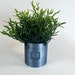 Piston Planter - Metallic Gray Car Piston Pot, Man Cave Decor - Etsy