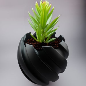 Minimalist Curved Vase for Contemporary Home Decor Lightweight Indoor ...