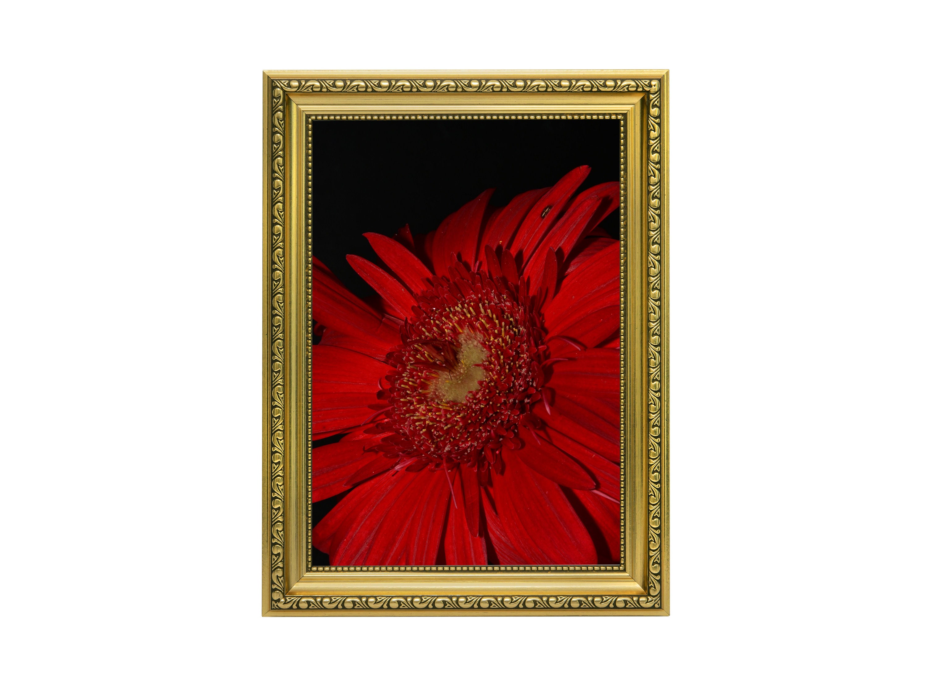 Ornate Picture Frame A2 Picture Frame/ornate A3 Gold Frame / A4 Shabby ...