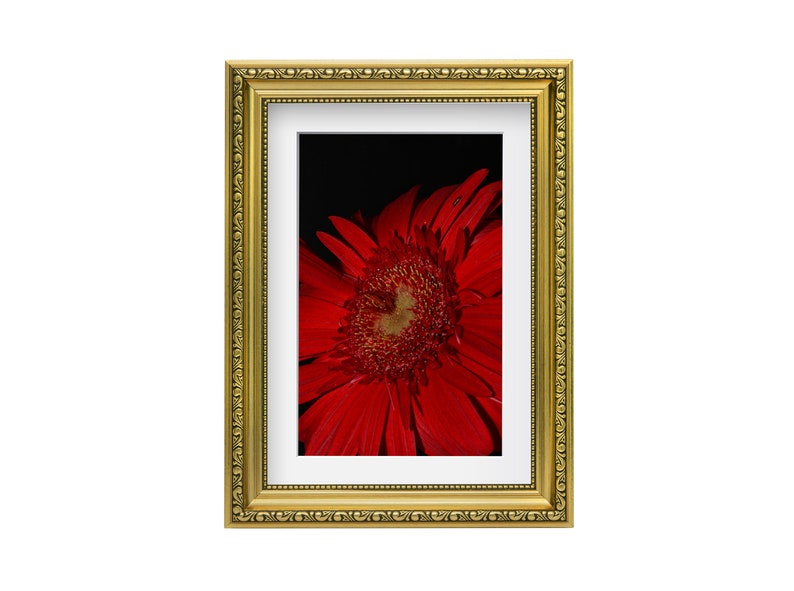 Ornate Picture Frame A2 Picture Frame/ornate A3 Gold Frame / A4 Shabby ...