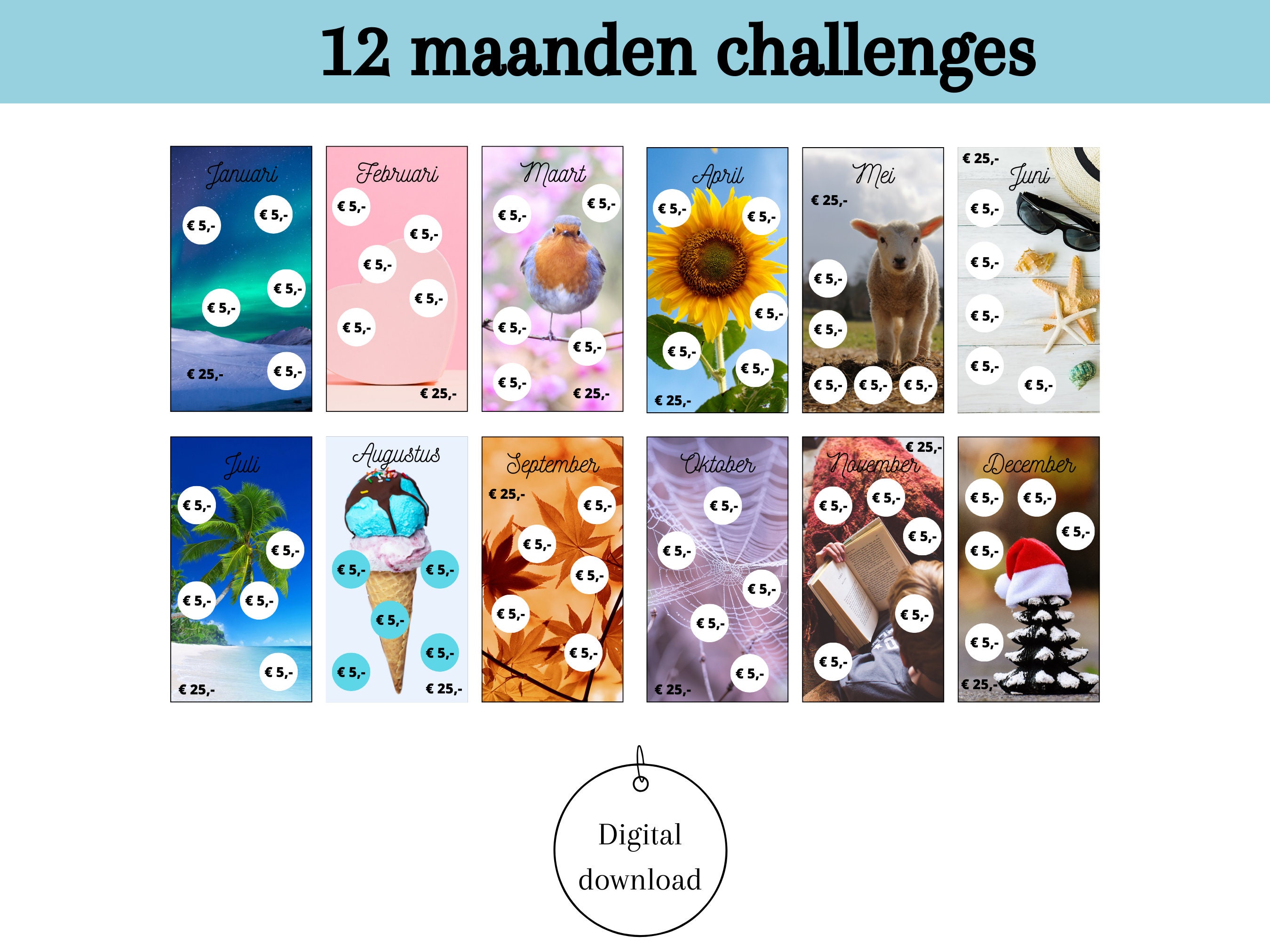 12 maanden challenges voor cash stuffing euro sparen spaar - Etsy België