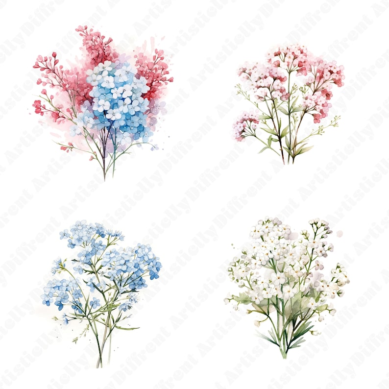 Baby's Breath | Flowers Clipart | JPG | Instant Download | Commercial ...