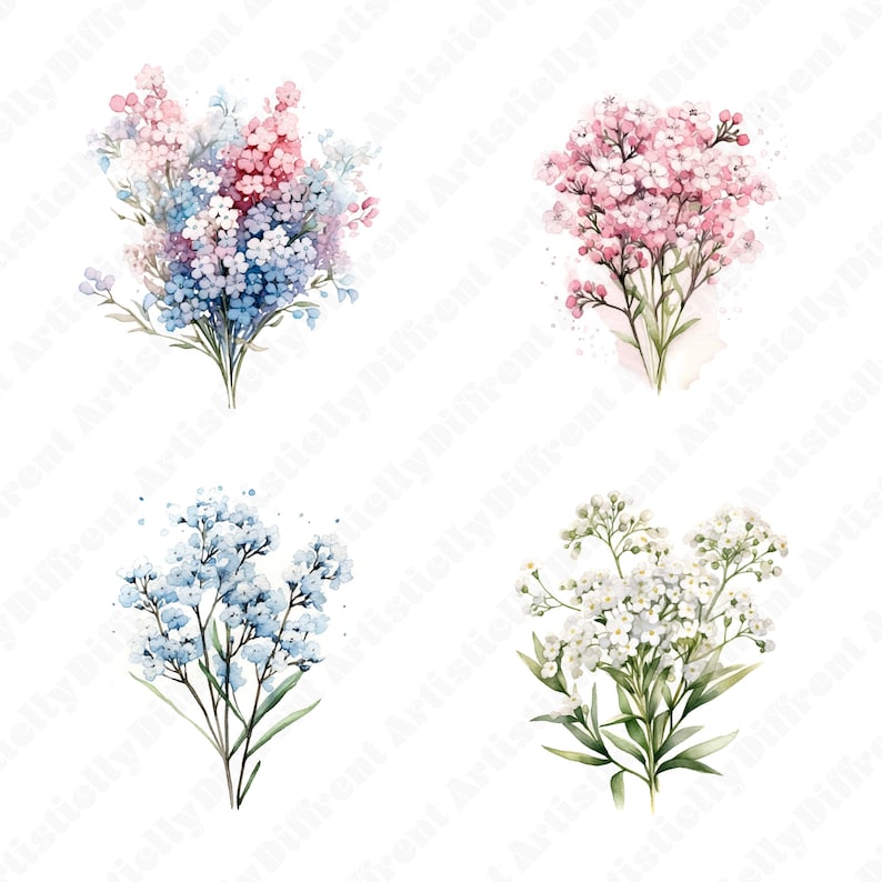 Baby's Breath | Flowers Clipart | JPG | Instant Download | Commercial ...