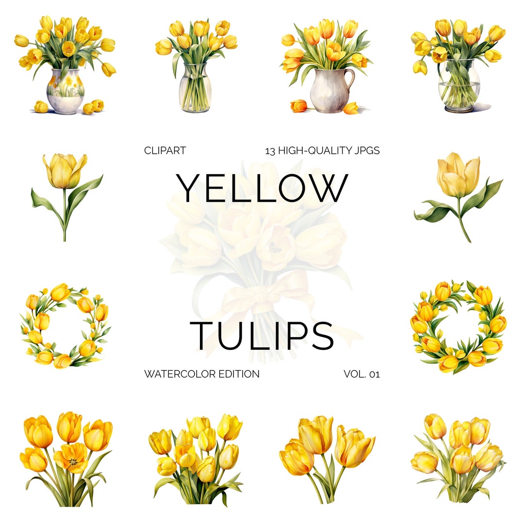 Yellow Tulips | Tulips Clipart | JPG | Instant Download | Commercial ...